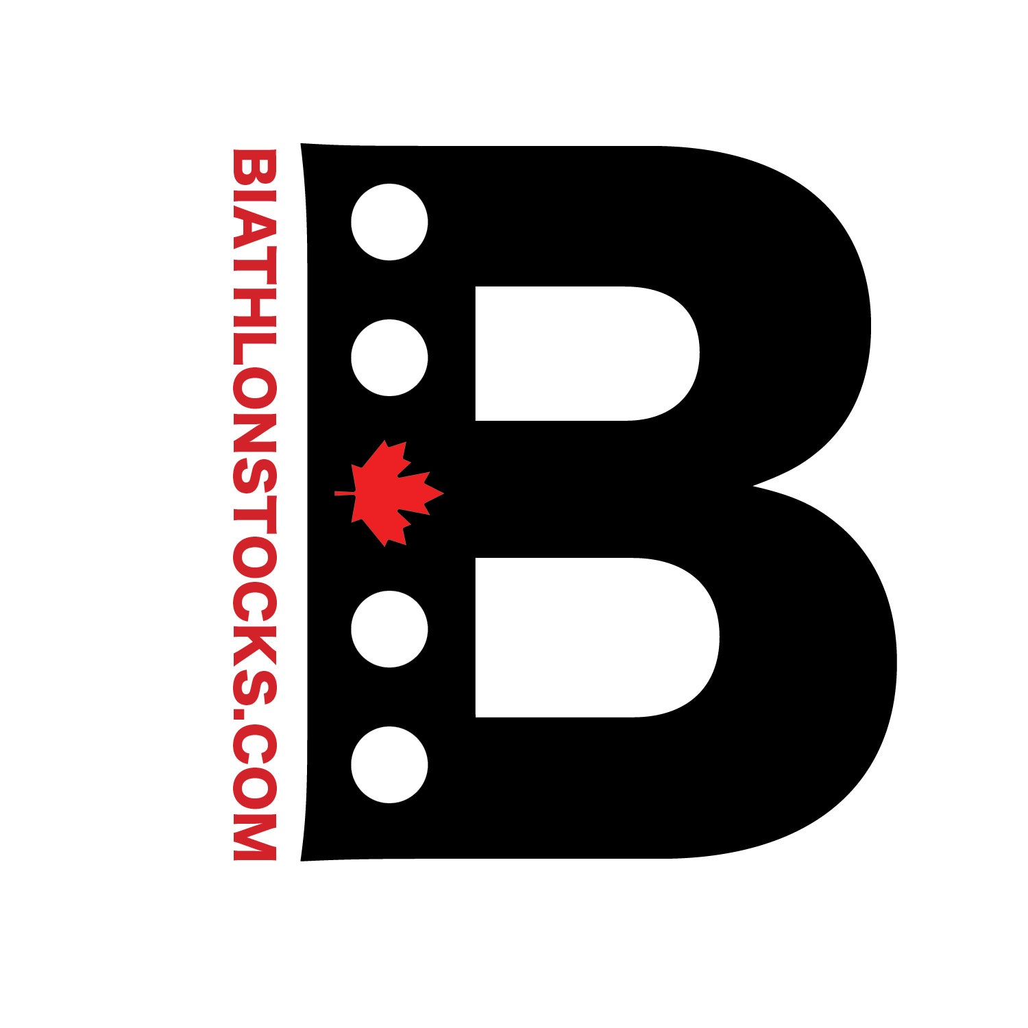 Biathlon Stocks and 3D Printed accessories | BiathlonStocks.com